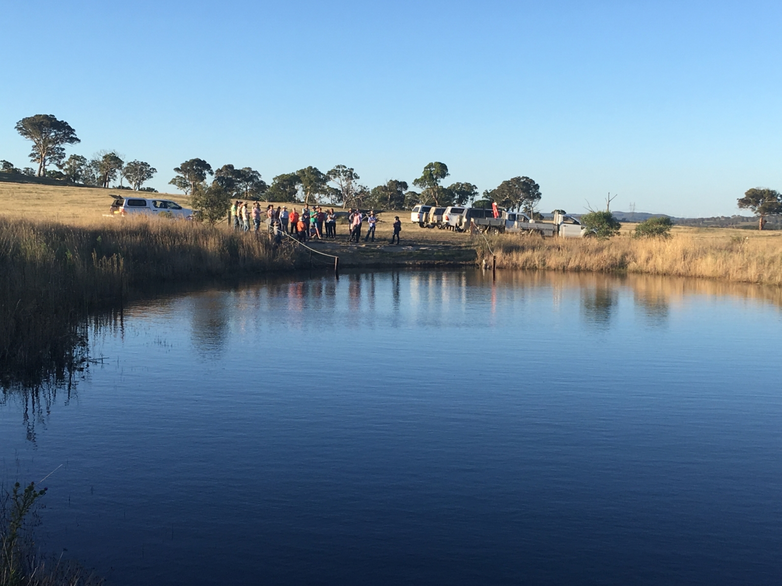 The Benefits of Keeping Healthy Farm Dams – Watershed Landcare Incorporated
