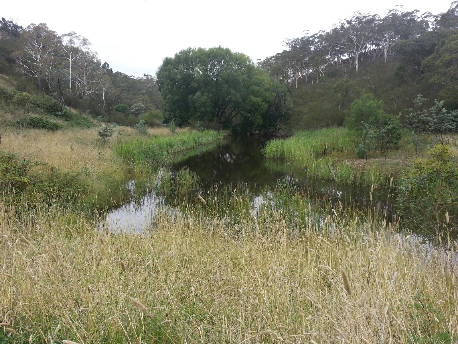Natural Sequence Farming Scholarship Opportunity – Watershed Landcare ...