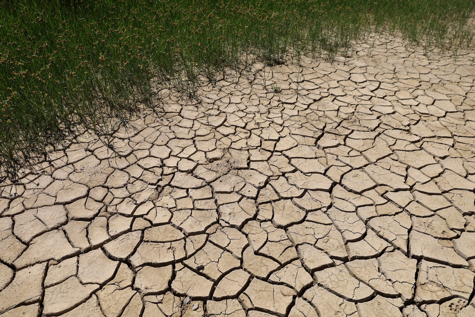 From Flash Floods to Flash Droughts – Watershed Landcare Incorporated