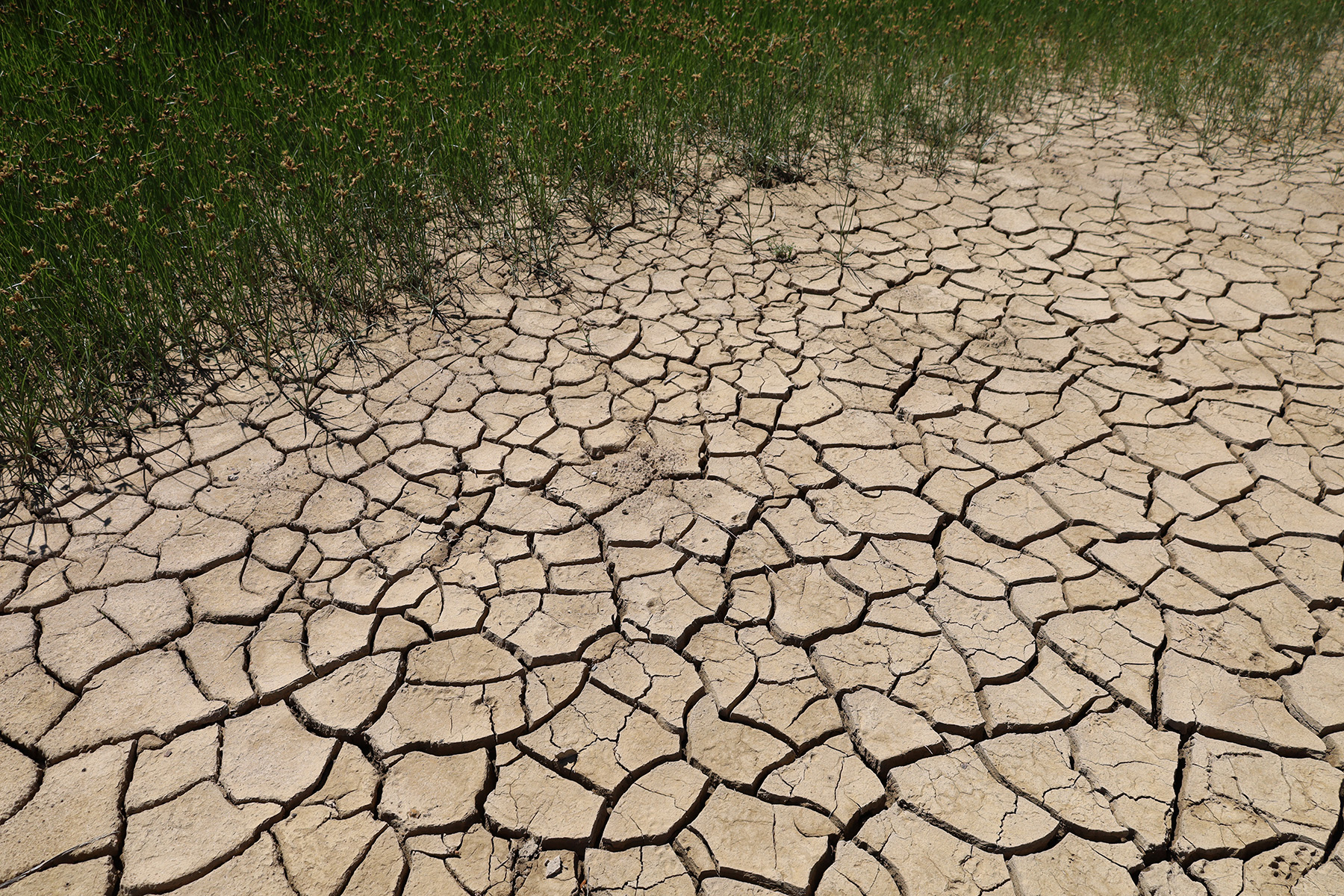 From Flash Floods to Flash Droughts – Watershed Landcare Incorporated