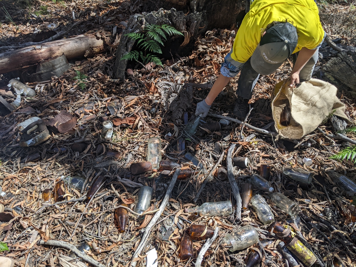 Working Together: Clean Up Day – Watershed Landcare Incorporated